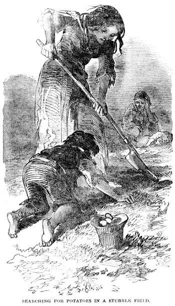 The Famine Tv Tropes