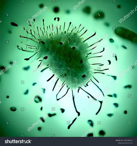 Escherichia Coli E Coli Cells Bacteria Stock Illustration 2189199813 Shutterstock