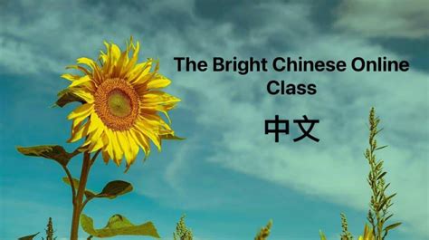 Xie Xie Chinese And Xie Xie Chinese And Digital Marketing