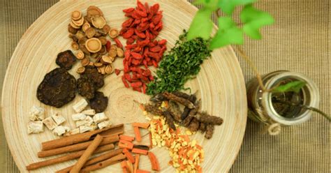 치유관광산업 육성법 국회 통과 웰니스 관광 시대 연다