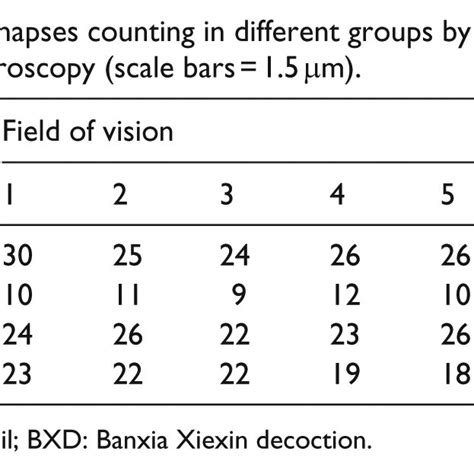Synapses Counting In Different Groups By Transmission Electron