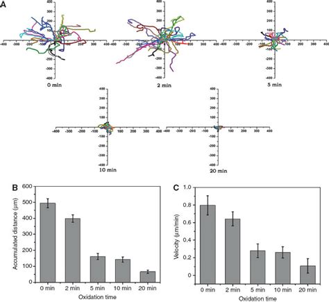 A Cell Migration Trajectories In The Pei Fcdna15 Multilayers At