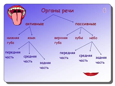 Классификация гласных и согласных звуков русского языка презентация онлайн