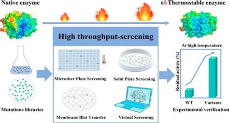 用于选择热稳定性酶的高通量筛选技术 Journal Of Agricultural And Food Chemistry X Mol