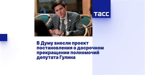 В Думу внесли проект постановления о досрочном прекращении полномочий депутата Гулина