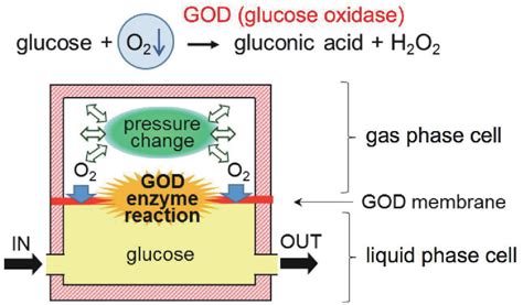 Figure 2 From Glucose Driven Monolithic Polydimethylsiloxane Decompression Unit For Drug Release
