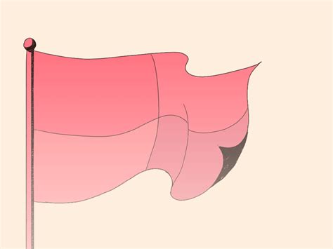 Waving Flag By Selwin Vervoort