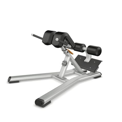 Precor Dbr0312 Back Extension Fitline Fitness Usa
