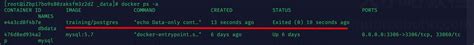 docker 数据卷容器 犬小哈教程