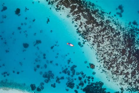 Could Satellite Based Technology Save Coral Reefs Coral Reef Alliance