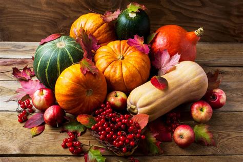 Naxi Ex Yu Radio Listen Live Belgrade Serbia Online Radio Box