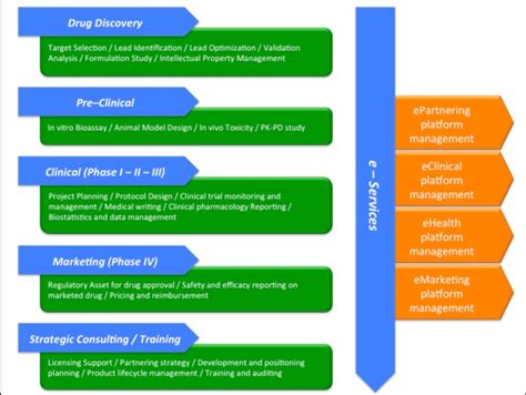 Drug Development Value Chain Source Authors Download Scientific