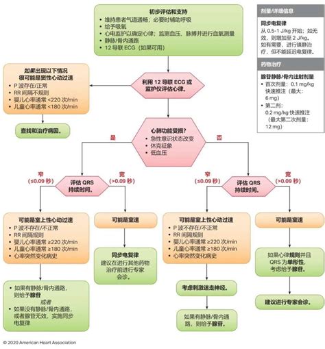 10图快速掌握aha最新版心肺复苏指南 患者