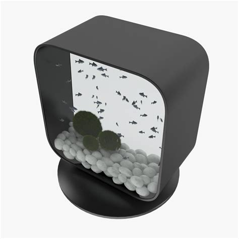 Modern Rectangular Aquarium 3d Model Download Hobbies On
