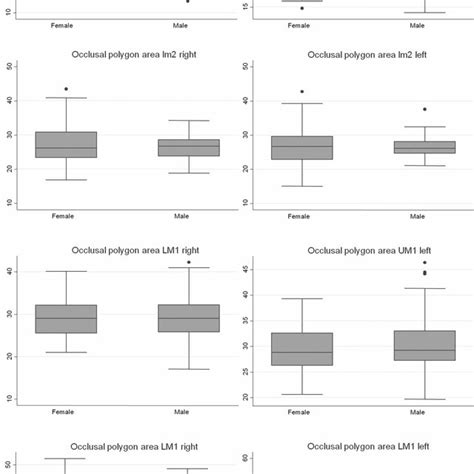 Occlusal Polygon Area Of Each Tooth By Sex Download Scientific Diagram