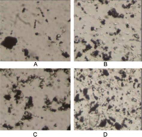 Observed Images Of Aggregates With The Same Resolution Figure A B C Download Scientific