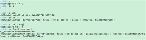 xcode console debugging common commands