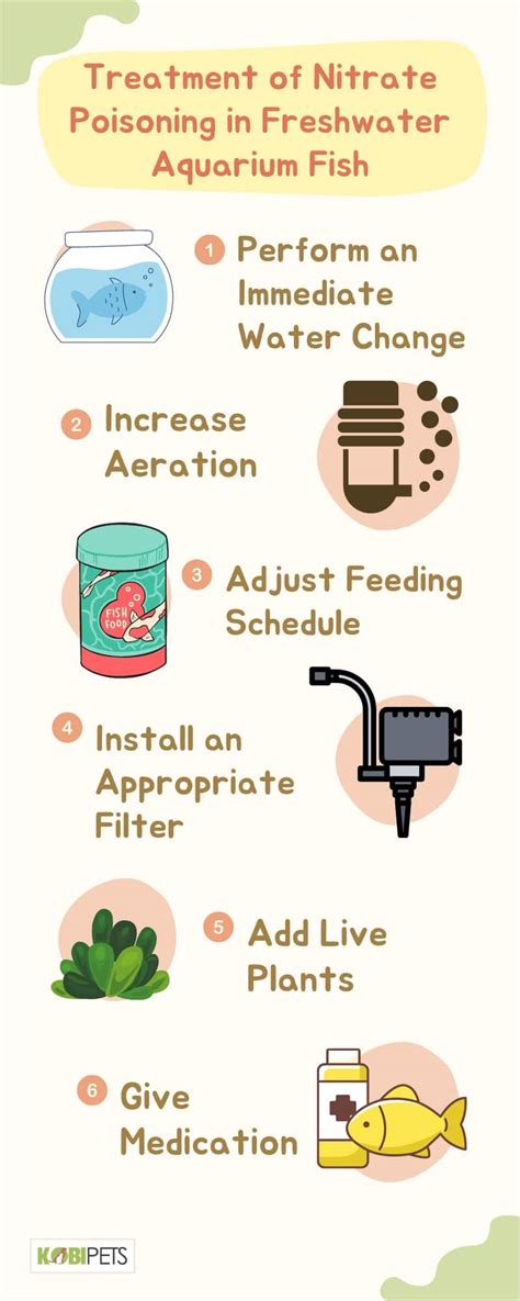 Nitrate Poisoning In Freshwater Aquarium Fish Kobi Pets