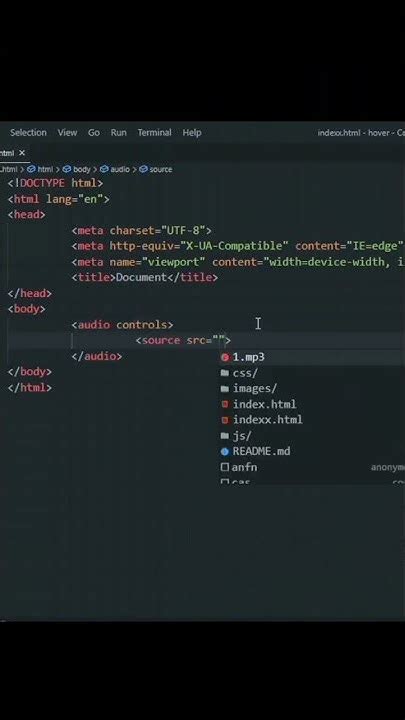How To Import An Audio File Into Html Html Coding Programming Html5 Htmltutorial Ssstech