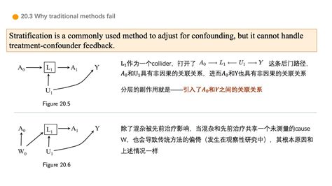 因果推断｜causal inference what if——chapter20 treatment confounder feedback