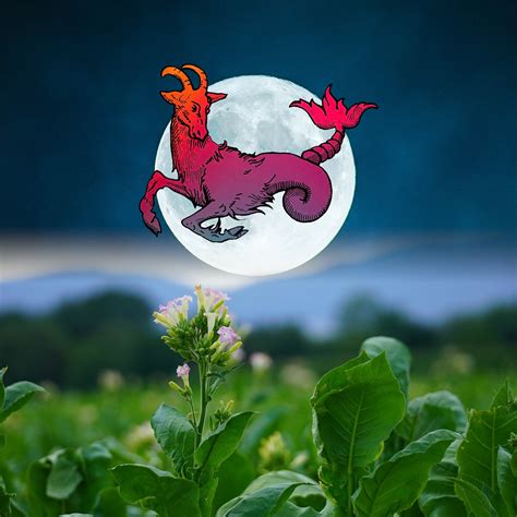 „Природата обича смелостта Поеми ангажимент и природата ще отговори на този ангажимент като