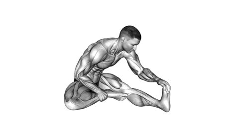 Seated Single Leg Hamstring Stretch Male Exercise Guide And Tips