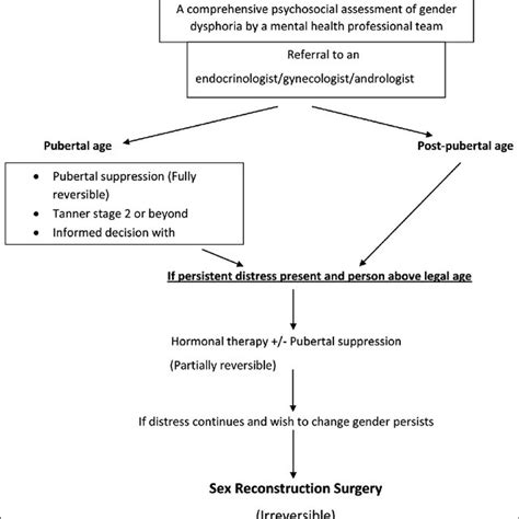Treatment Regimen For Gender Dysphoria Wpath Soc Version 7 Source Download Scientific