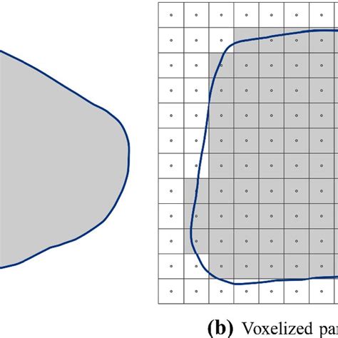 2d schematic of particle voxelization download scientific diagram