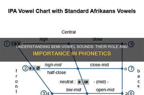 Understanding Semi Vowel Sounds Their Role And Importance In Phonetics