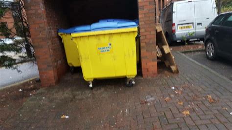 Rat Prevention And How We Can Help The Rubbish Removers