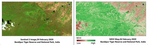 Resilience Unveiled Investigating Forest Fire Regeneration Using