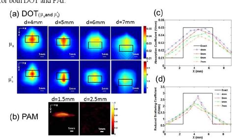 Figure 2 From Handheld Miniature Probe Integrating Diffuse Optical Tomography With Photoacoustic