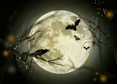 Libros Infantiles Y Juveniles Para Celebrar Halloween 2023