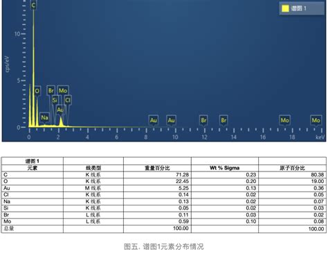 扫描电镜SEM分析方法实例 泽攸科技