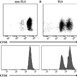 Representative Flow Cytometry Plots And Representative Histograms Of