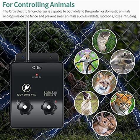 How To Electrify A Fence For Squirrels At Archie Sorensen Blog