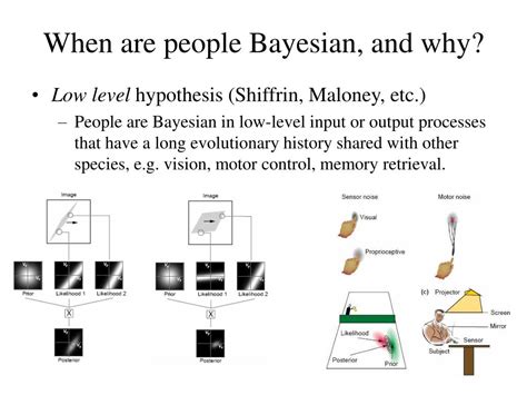 Ppt Bayesian Models Of Human Inference Powerpoint Presentation Free Download Id 1467822