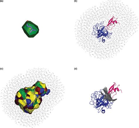 Figure 1 From A New Protein Protein Docking Scoring Function Based On