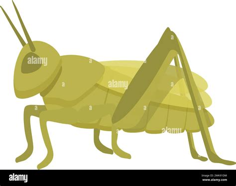 Fly Grasshopper Icon Cartoon Vector Mascot Art Insect Verdant Color