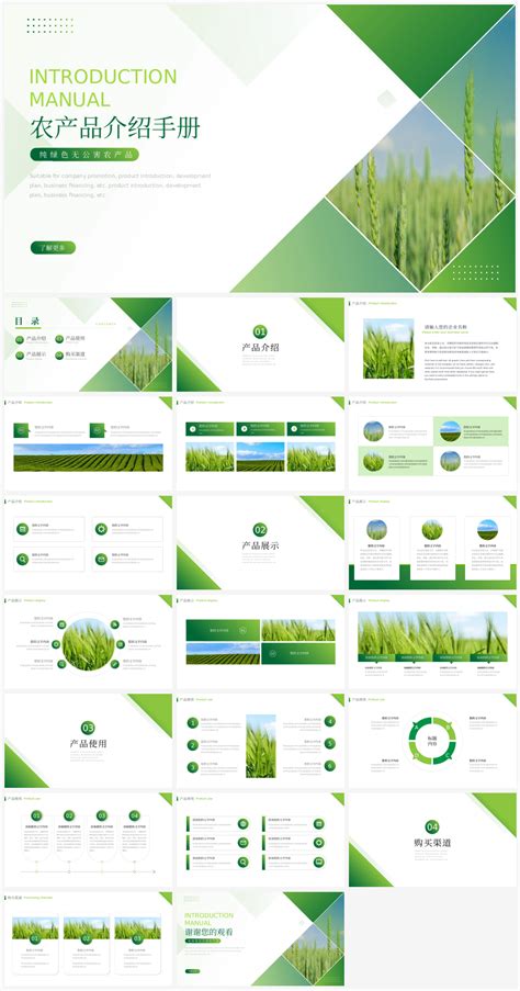 Ppt蔬菜素材 Ppt蔬菜模板 Ppt蔬菜图片高速下载 设图网