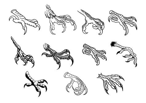 How To Draw Eagle Claws Step By Step