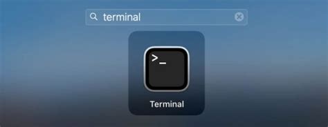 How To Recover Deleted Files Using Mac Terminal Solved