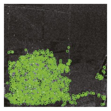 The Distribution Of Points Extracted By The Tested Algorithms Using The Download Scientific