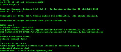 Rman Backup On S3 Learnomate Technologies