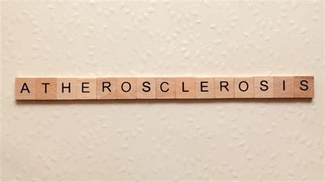 Atherosklerose Einfluss Von Ernährung Und Lebensstil Medicross