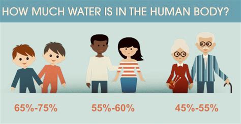 Body Water Basics Au