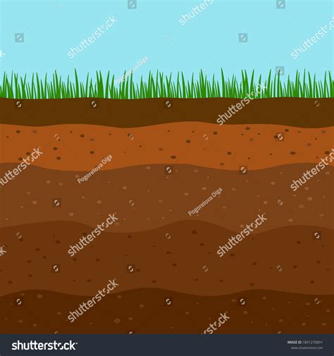 Flat Soil Diagram Template Composed Different Stock Vector Royalty Free