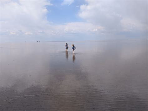 Quantum Gravity Through Toroidal Dynamics A Unified Framework For