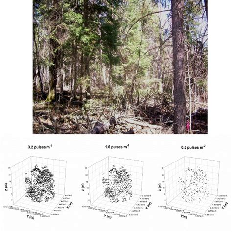 Pdf Lidar Sampling Density For Forest Resource Inventories In Ontario Canada