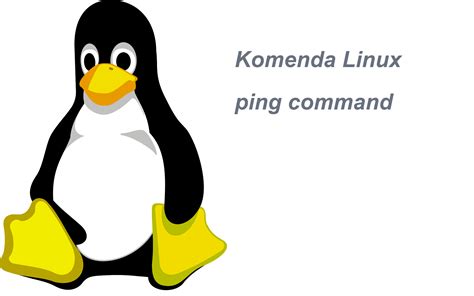 Komenda Linux Ping Command Ittalkpl